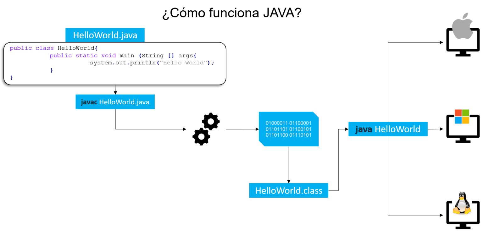 INTRODUCCION A JAVA SE 11. - algo.help